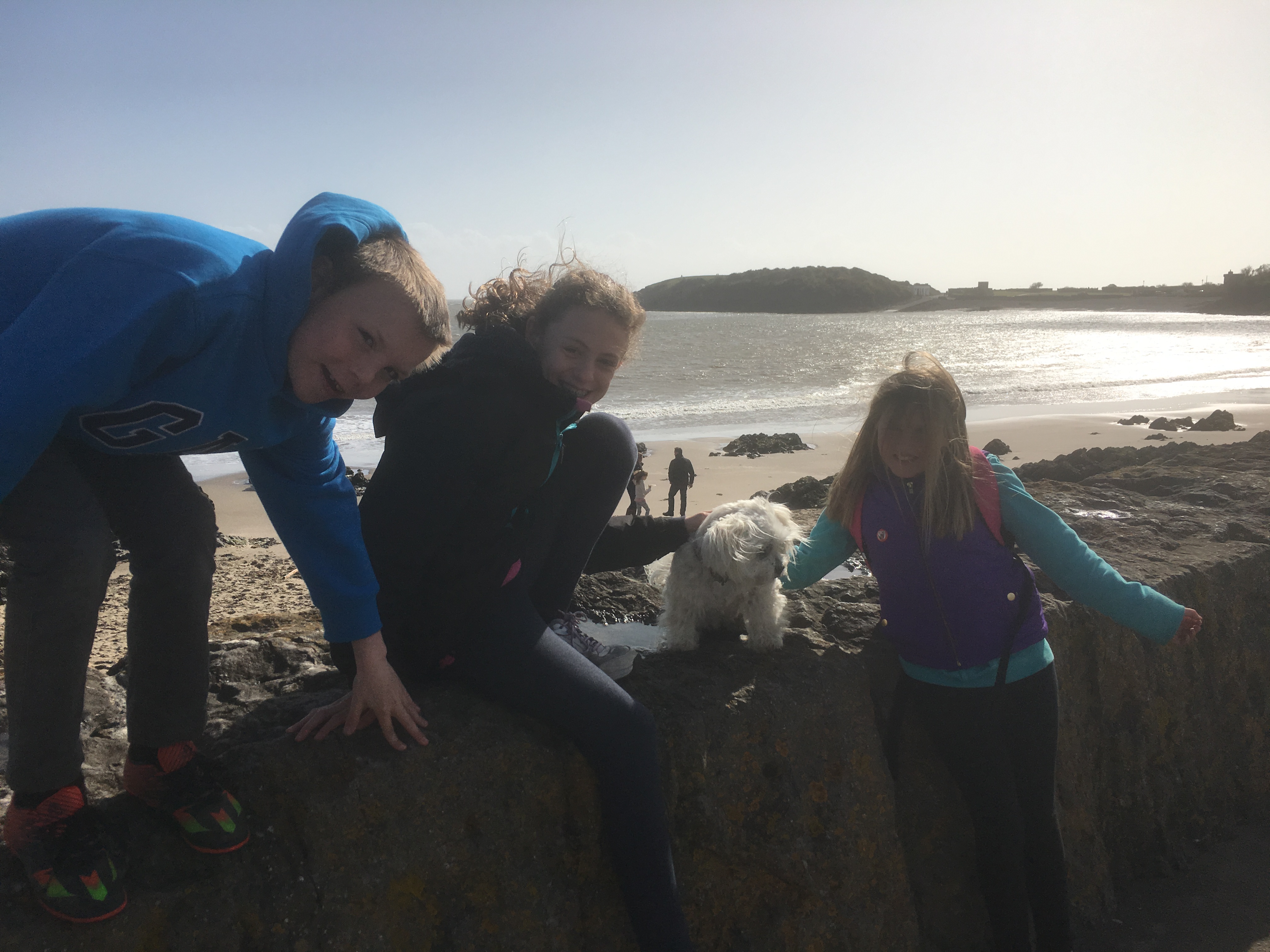 Barry Island Loop – Walkies Cleo and Bonnie