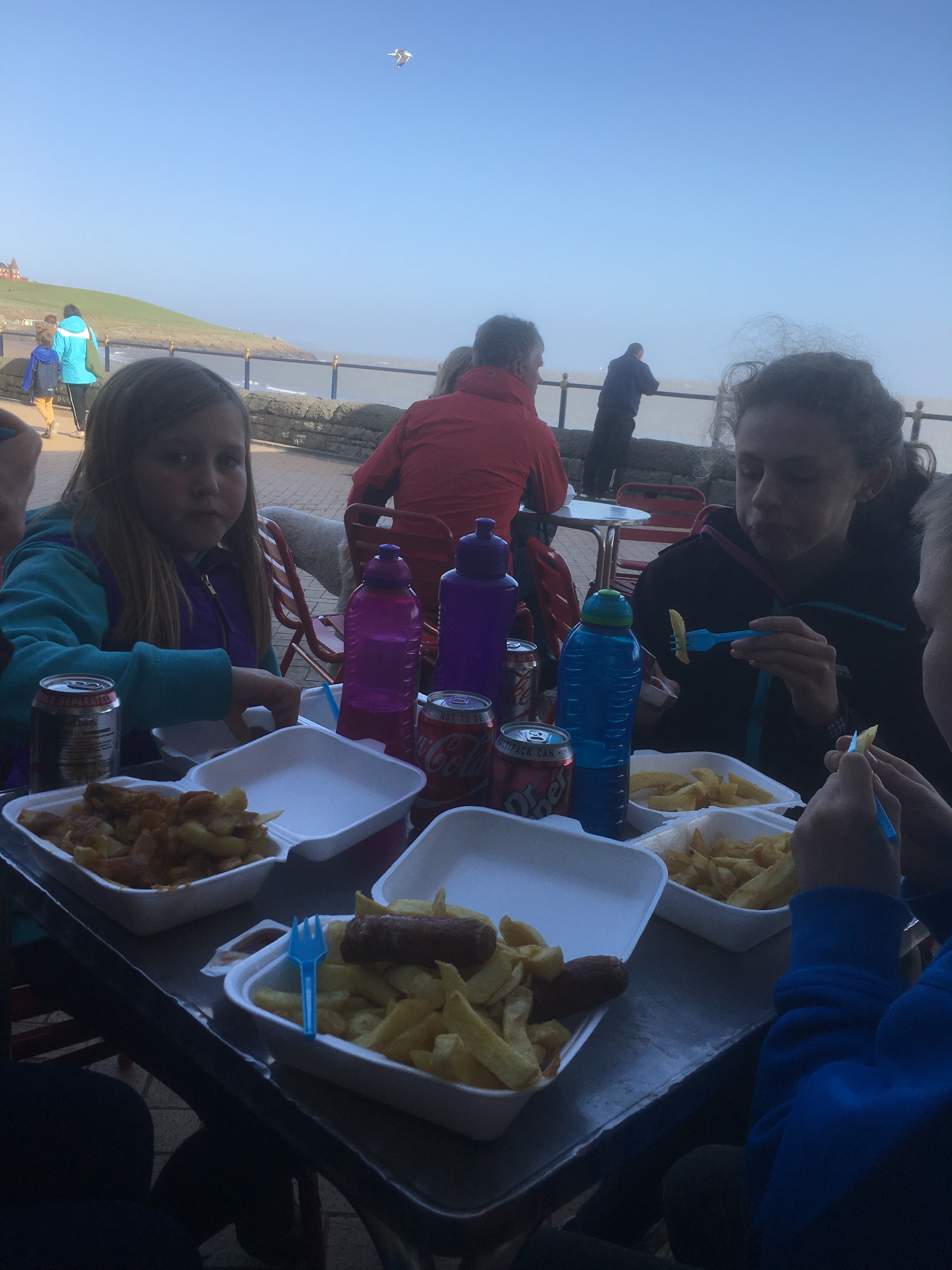 Barry Island Loop – Walkies Cleo and Bonnie